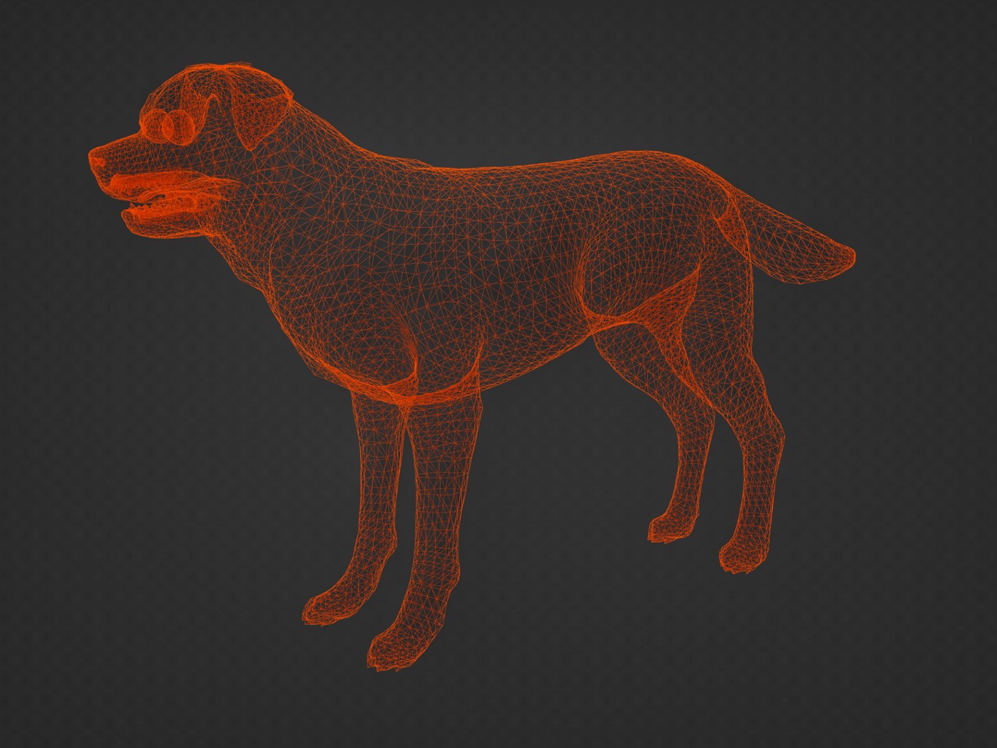 3D DOG - ROTTWEILER Model - TurboSquid 2030829