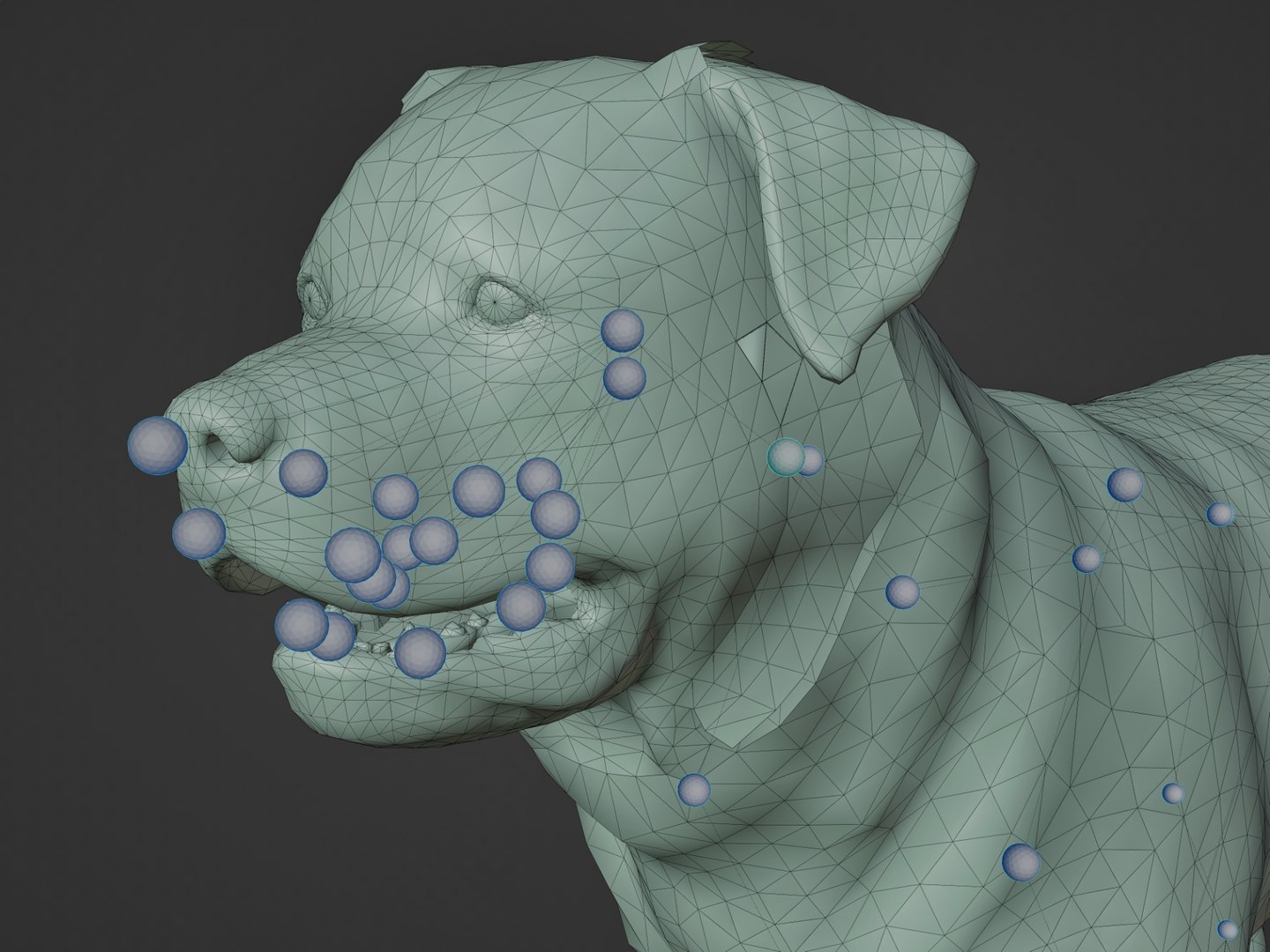 3D DOG - ROTTWEILER Model - TurboSquid 2030829