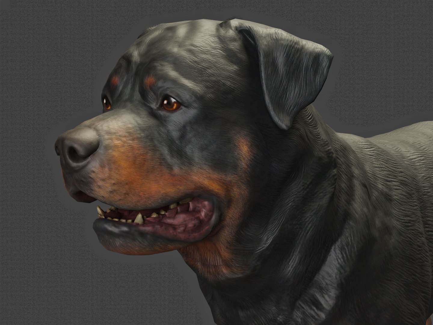 3D DOG - ROTTWEILER Model - TurboSquid 2030829