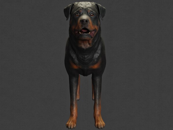 modelo 3d DOG - ROTTWEILER - TurboSquid 2030829