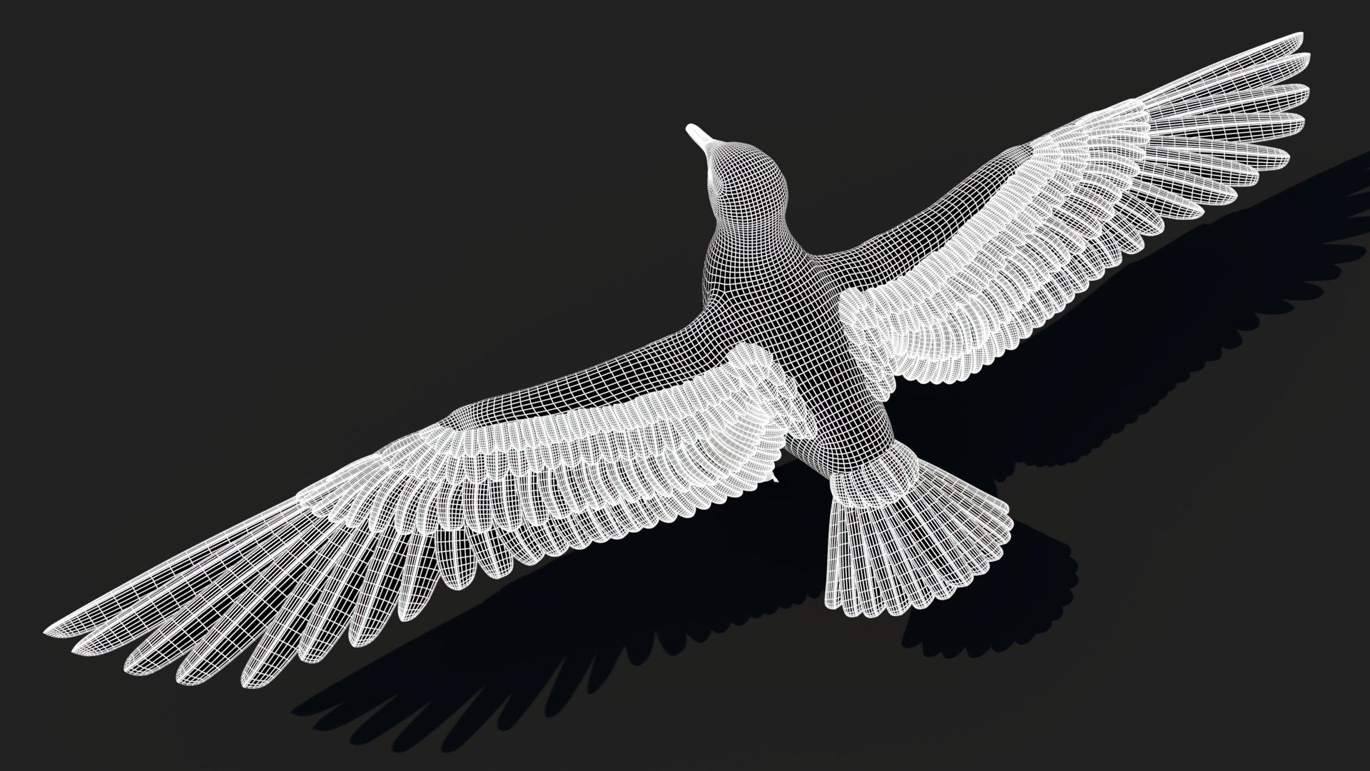 Seagull 3D Model Rigged 3D Model - TurboSquid 2389379