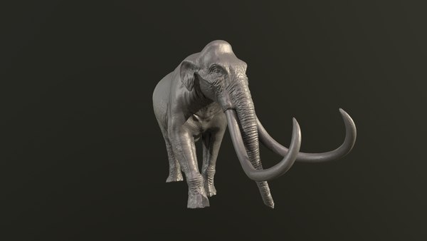 3D Anancus Models | TurboSquid