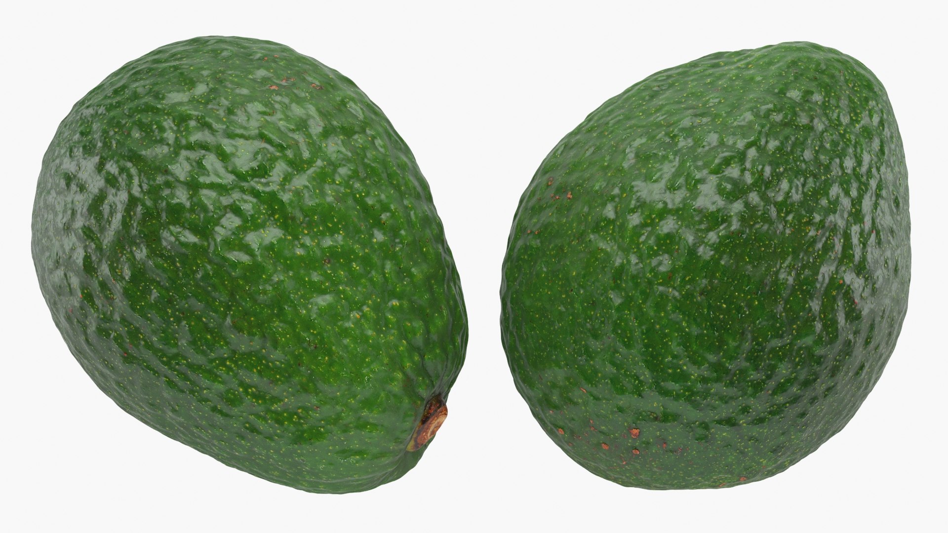 Avocado Set 3D Model - TurboSquid 1862555