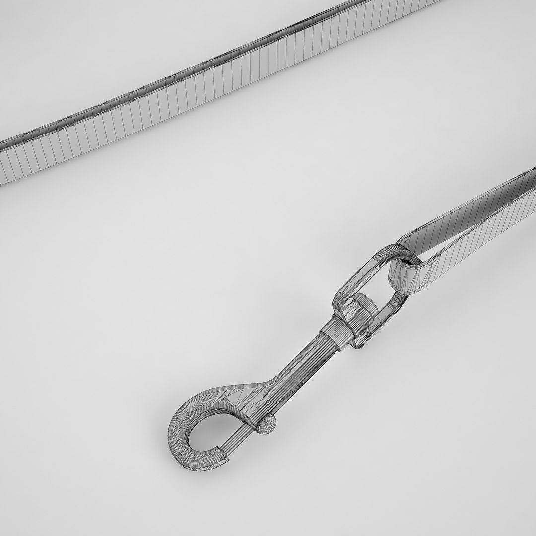 3d dog leash model