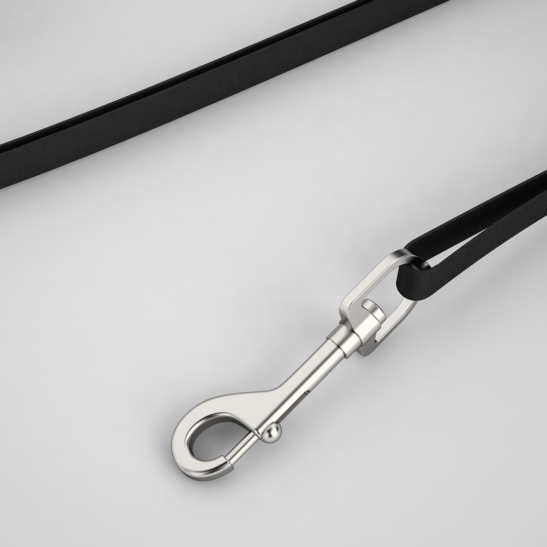 3d dog leash model