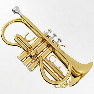 Cornet 3D Models for Download | TurboSquid