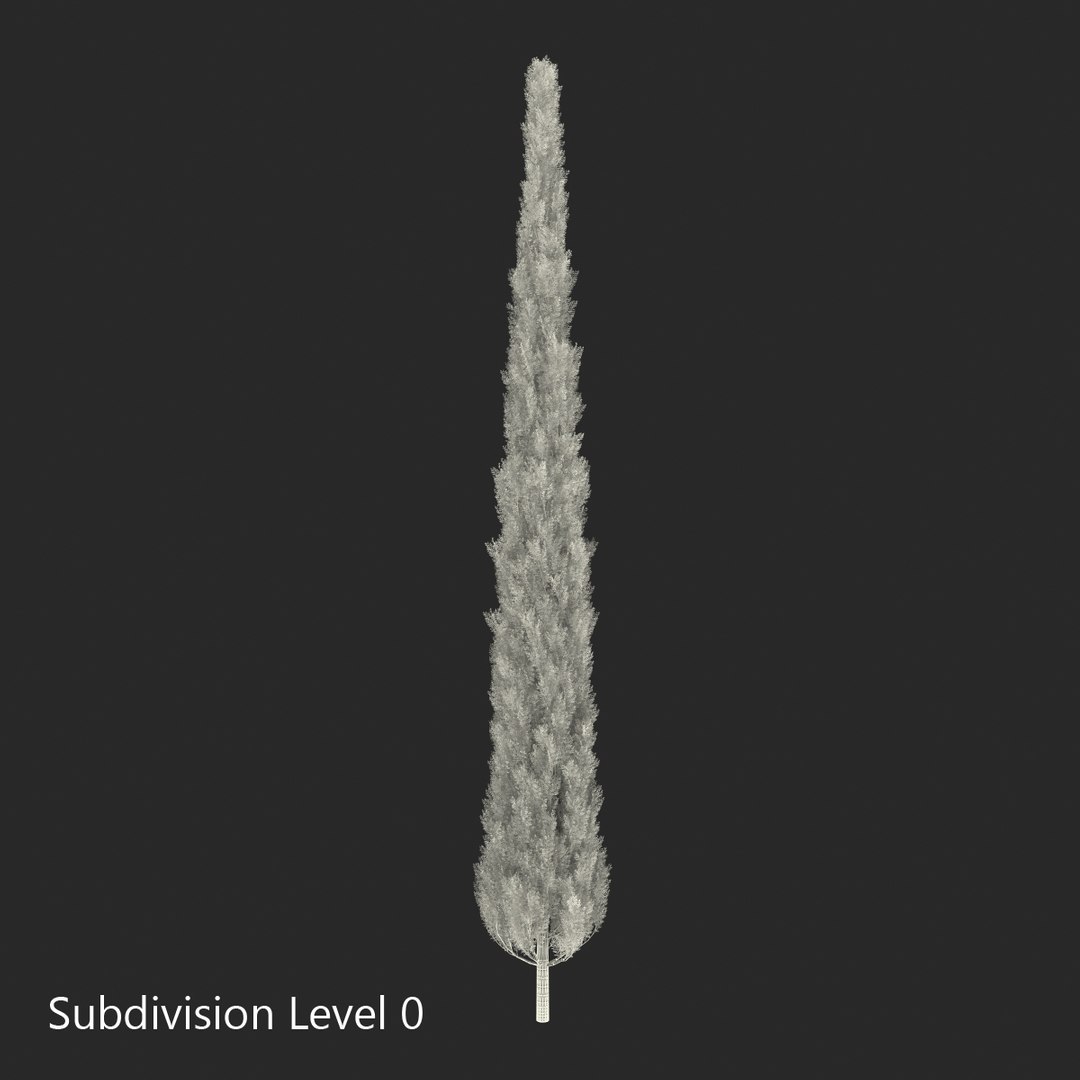3d model cypress tree 3