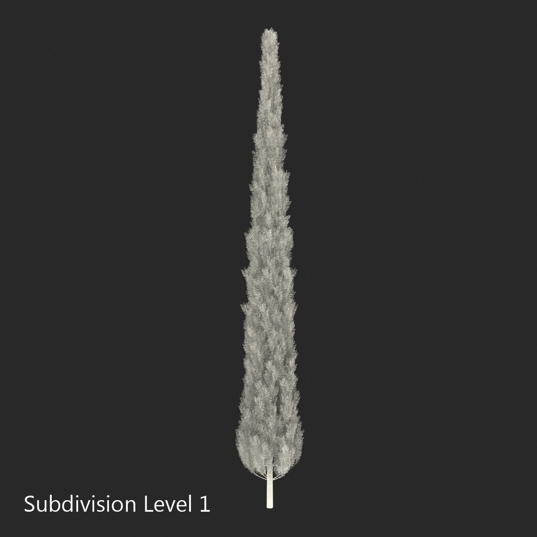 3d model cypress tree 3