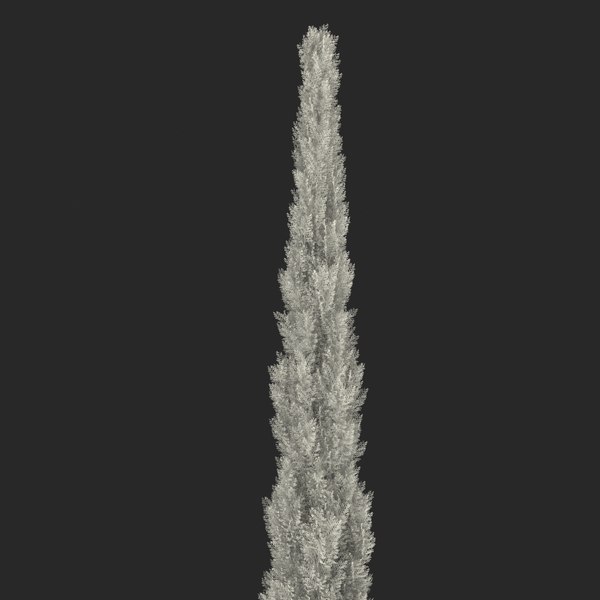 3d model cypress tree 3