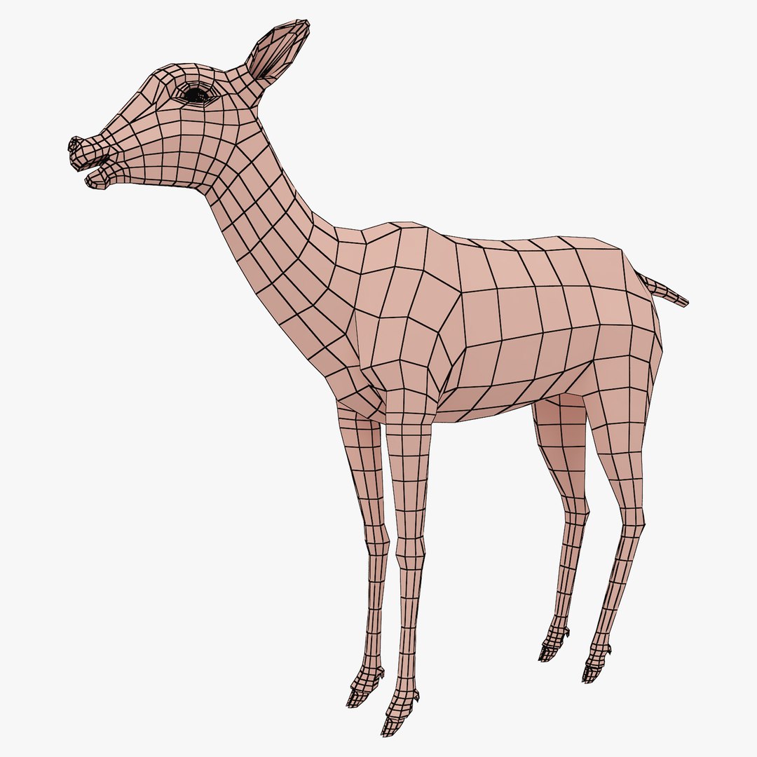 Deer mesh 3D model - TurboSquid 1688219