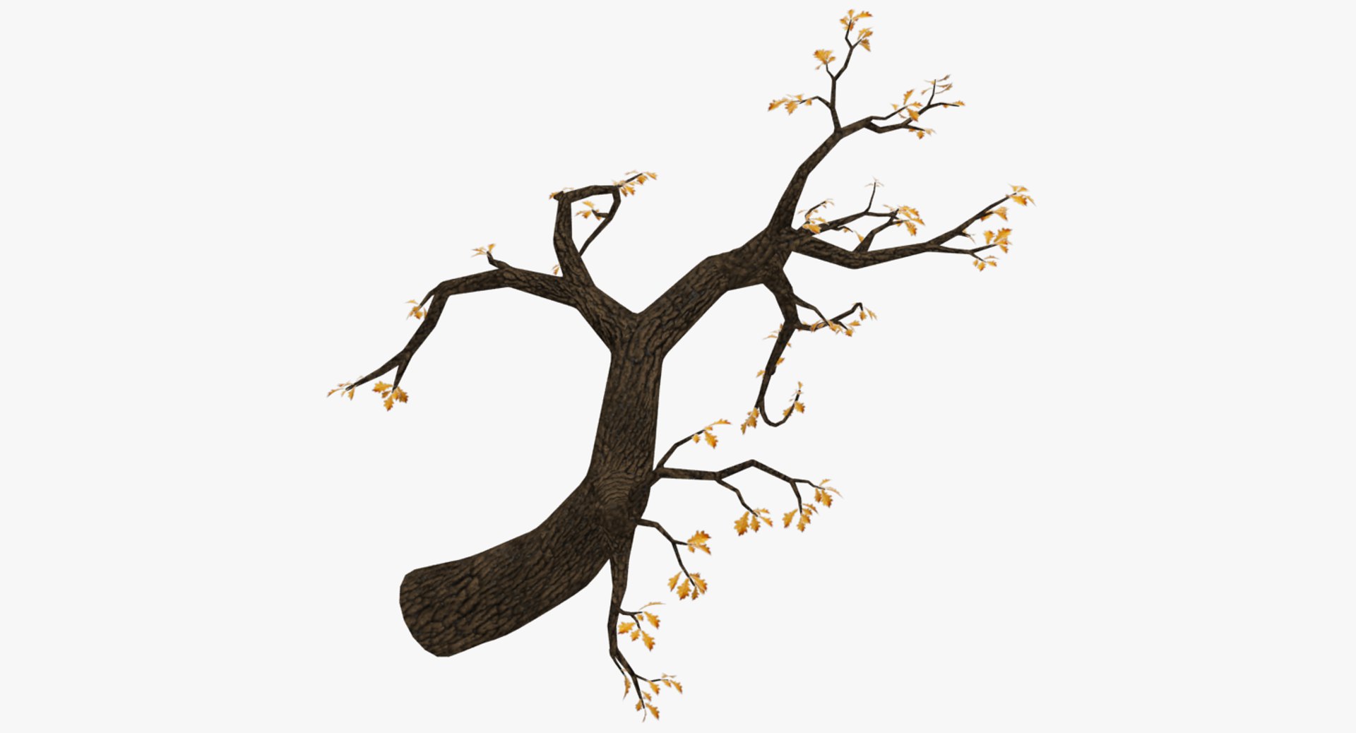3D Oak Branch Tree Model - TurboSquid 1273582