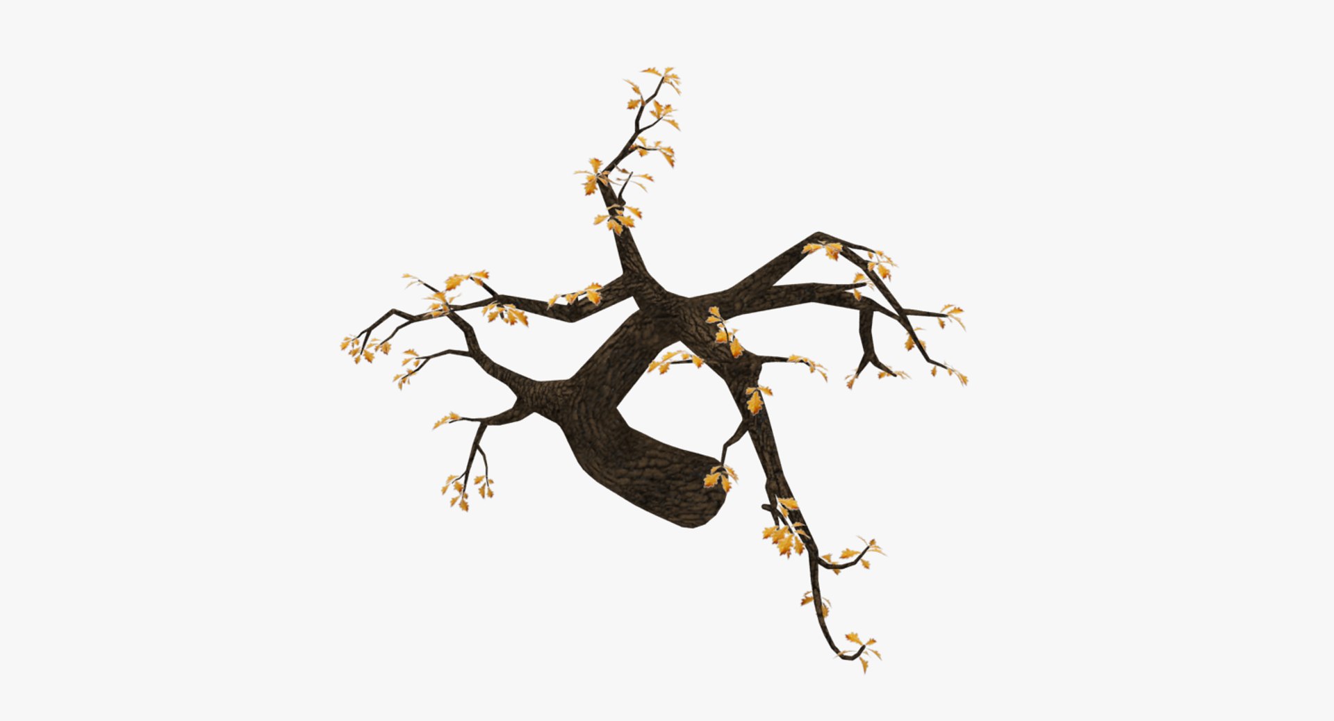 3D Oak Branch Tree Model - TurboSquid 1273582