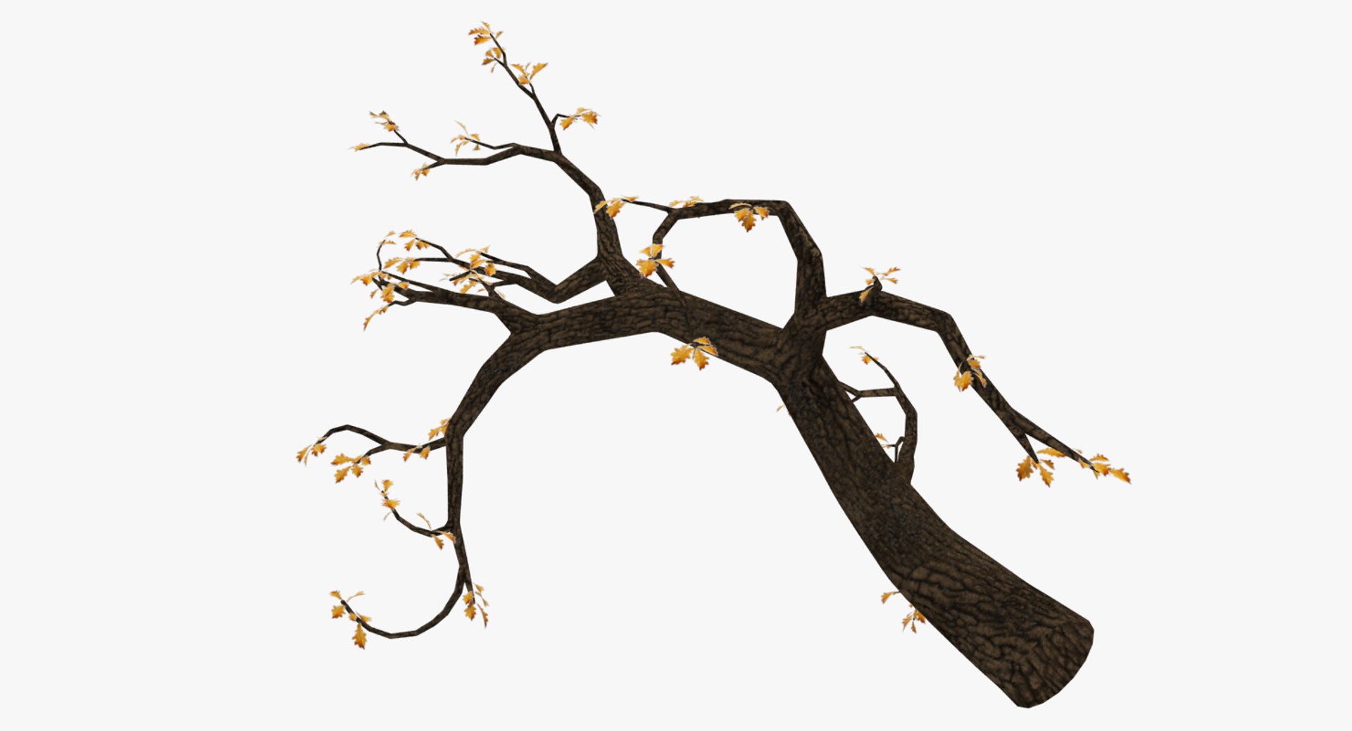 3D Oak Branch Tree Model - TurboSquid 1273582