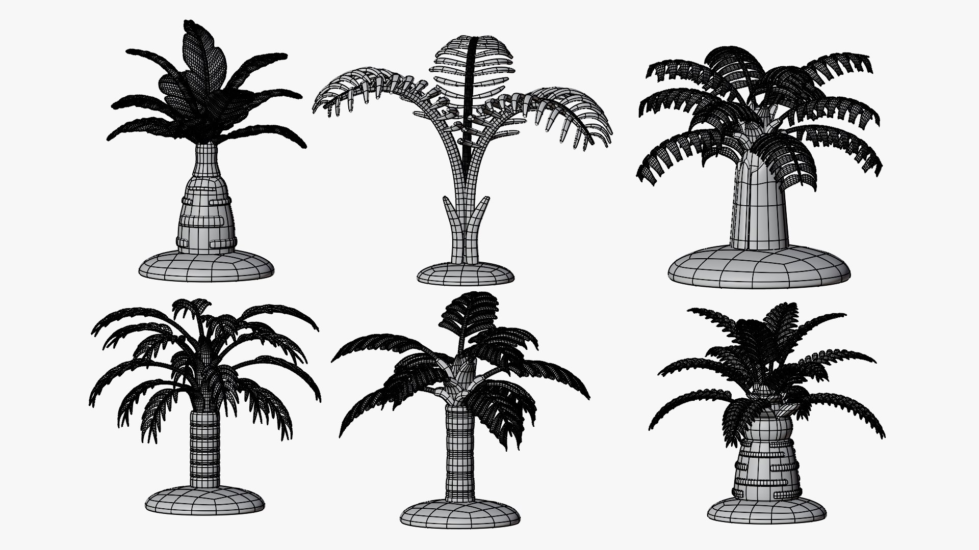 Palm Tree 3D Collection 3D Model - TurboSquid 2258242