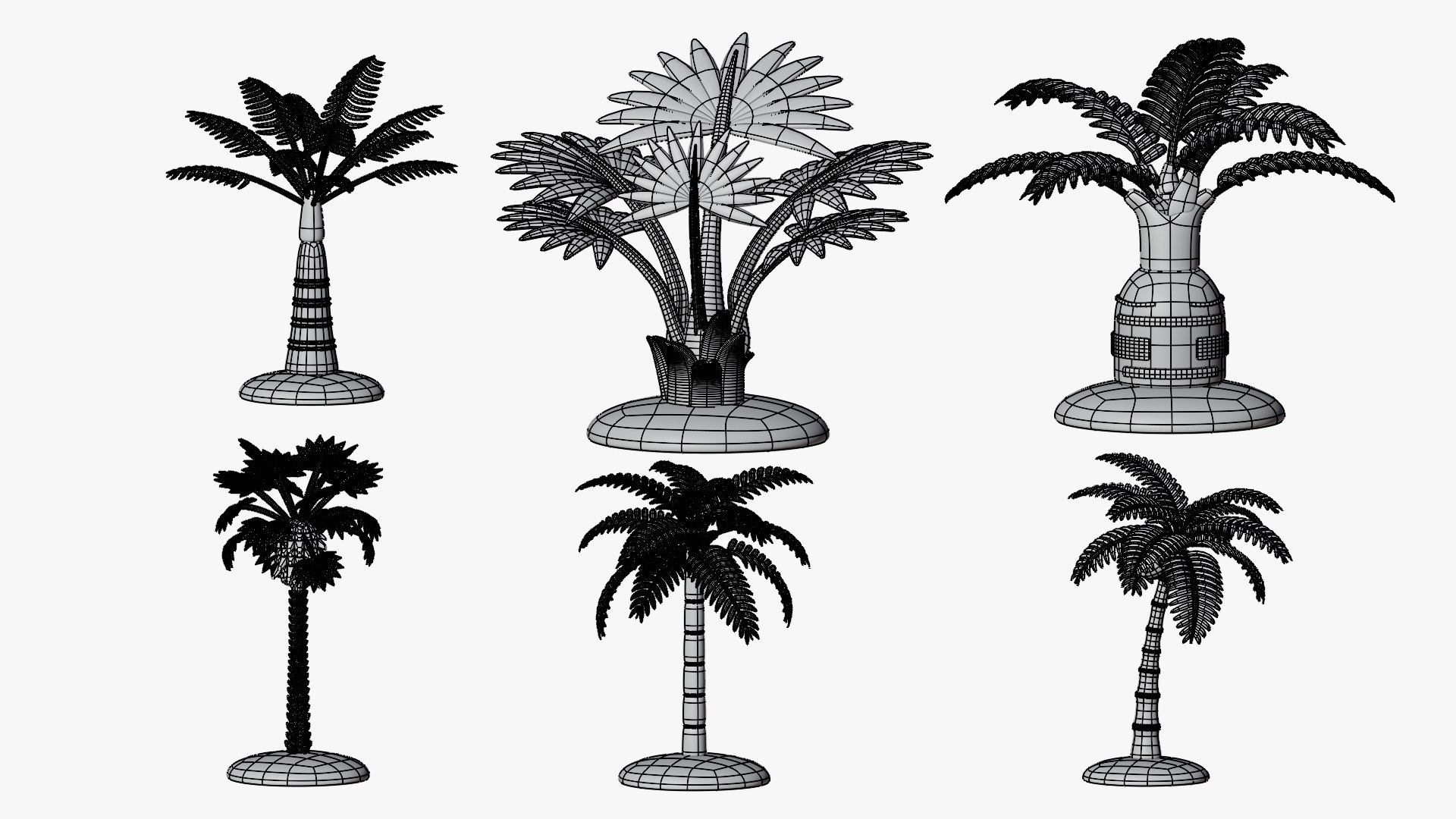 Palm Tree 3D Collection 3D Model - TurboSquid 2258242