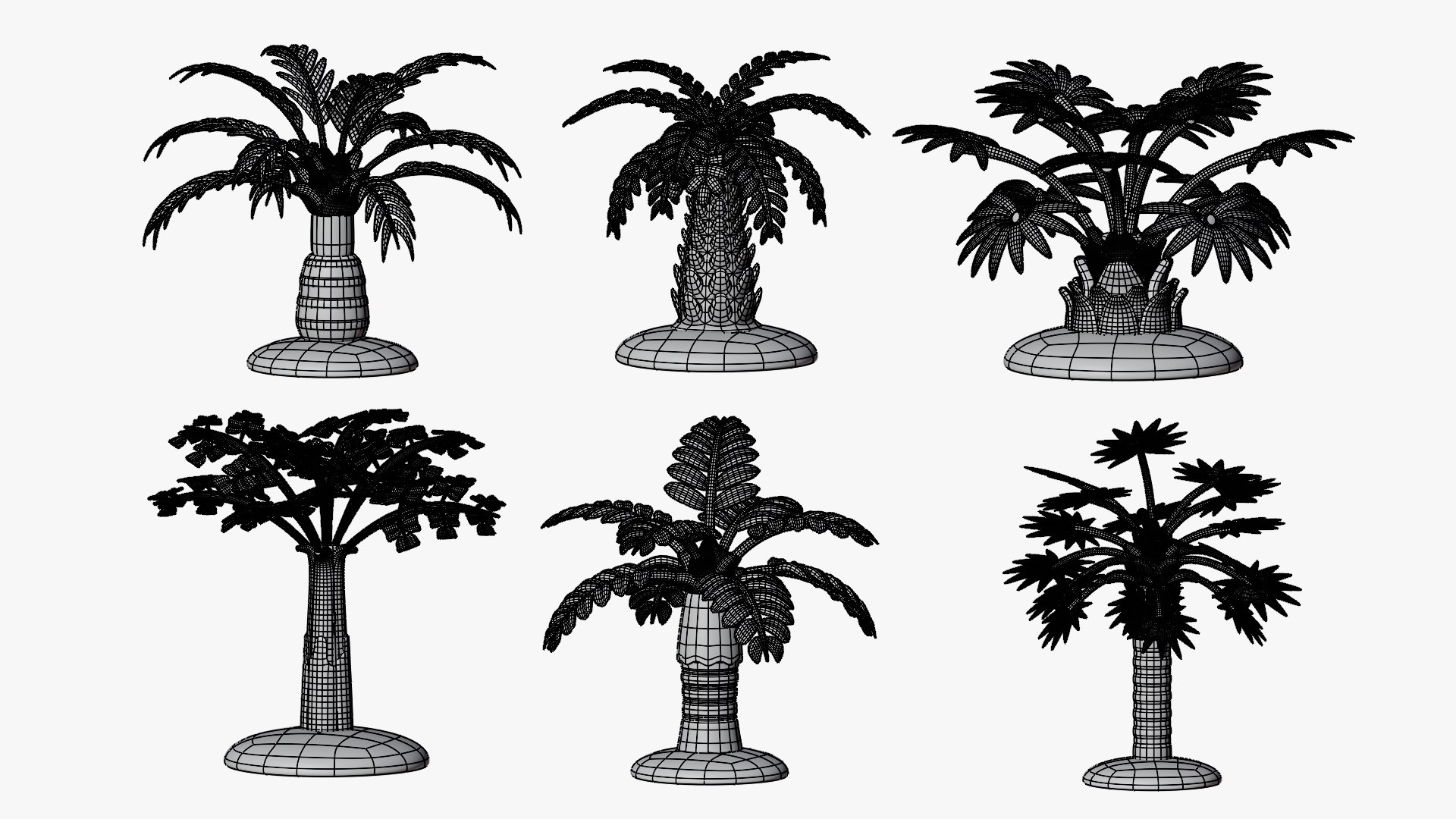 Palm Tree 3D Collection 3D Model - TurboSquid 2258242