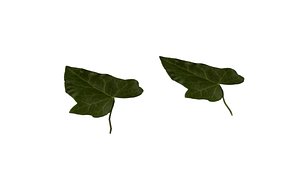 Free 3D Leaf Models | TurboSquid