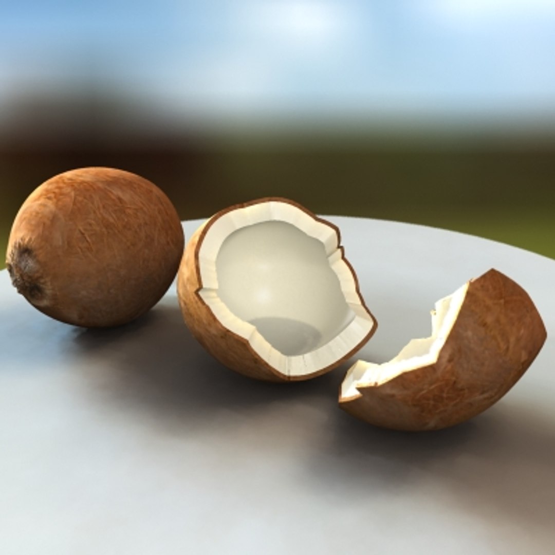 3d Coconut