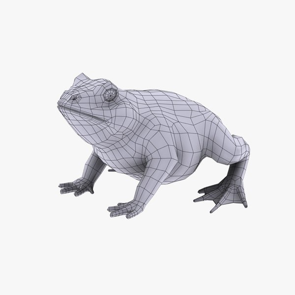 3D turtle toad model - TurboSquid 1395708