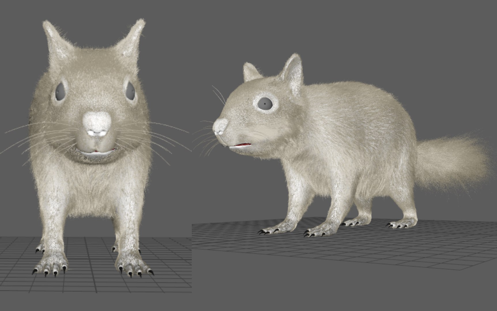 3D squirrel animation rig model - TurboSquid 1298398