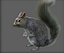 3D Squirrel Animation Rig Model - TurboSquid 1298398