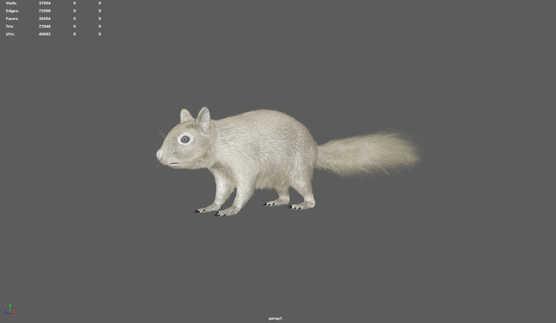 3D Squirrel Animation Rig Model - TurboSquid 1298398