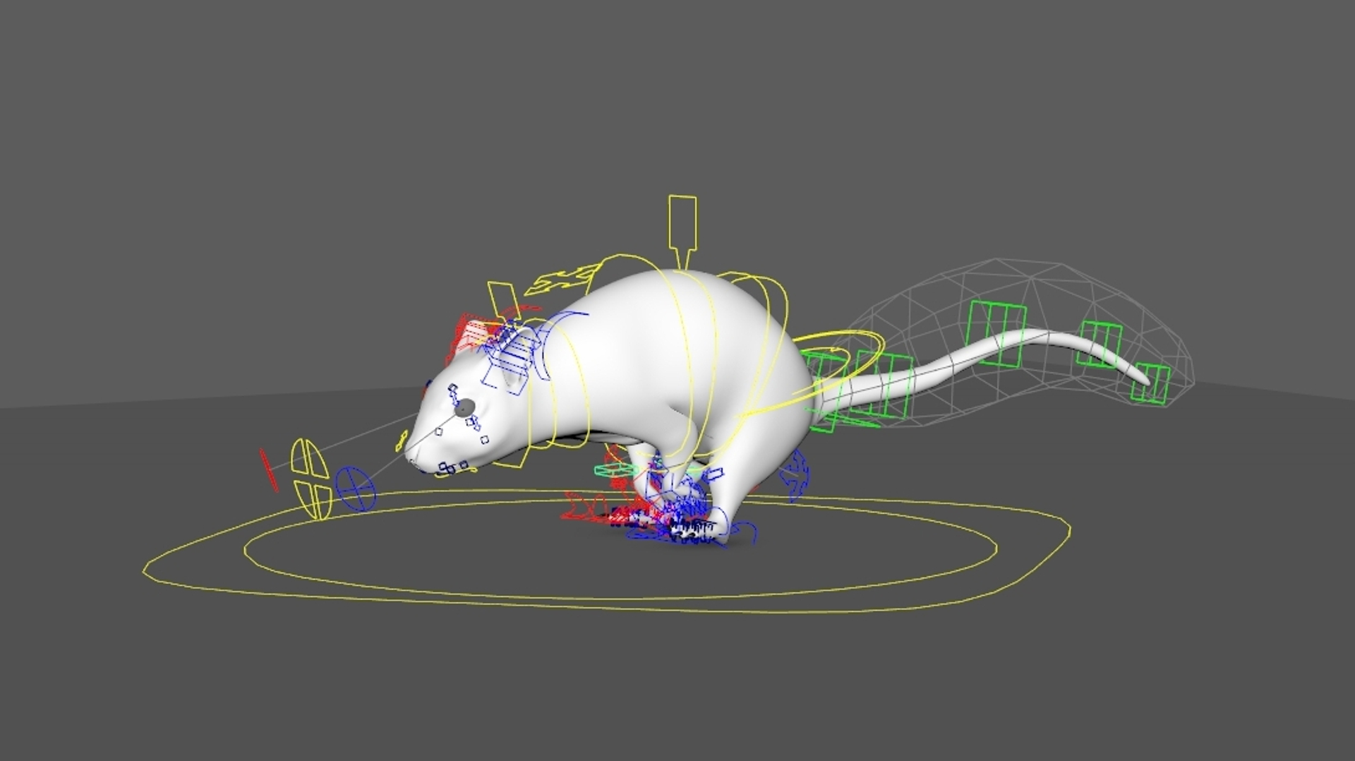 3D Squirrel Animation Rig Model - TurboSquid 1298398