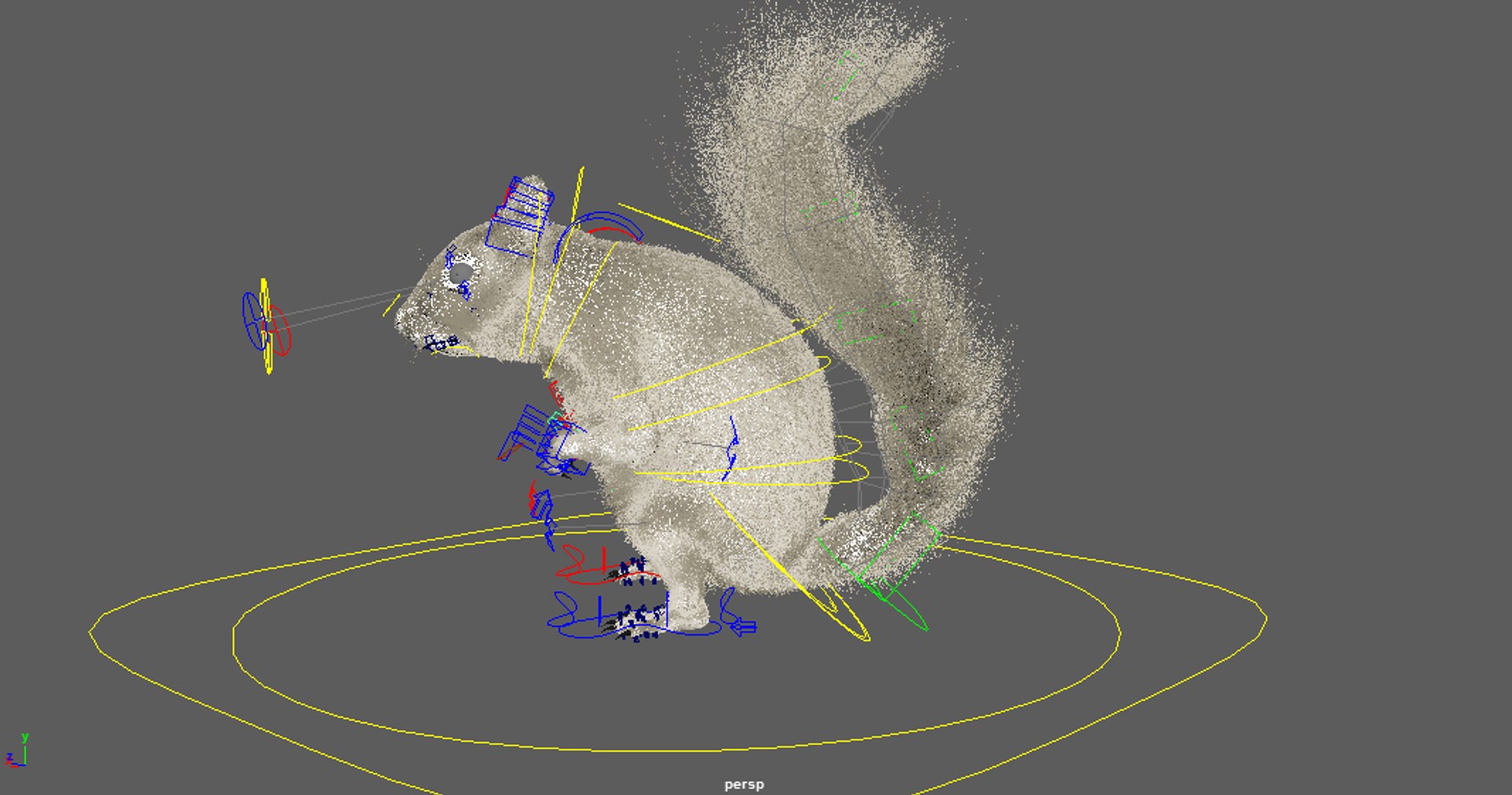 3D Squirrel Animation Rig Model - TurboSquid 1298398