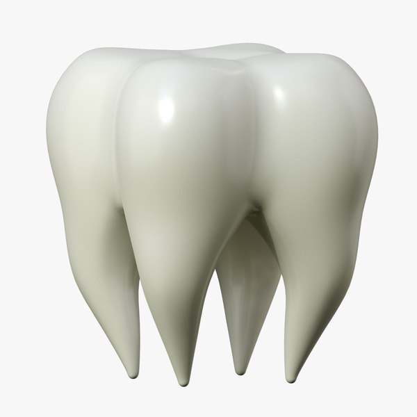 3D tooth - TurboSquid 1529951