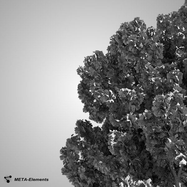 free obj mode broadleaf tree