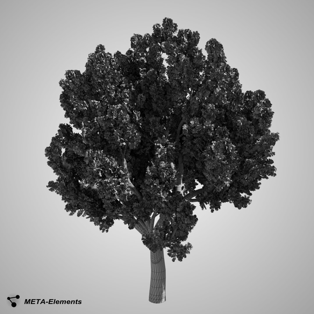 Free Obj Mode Broadleaf Tree