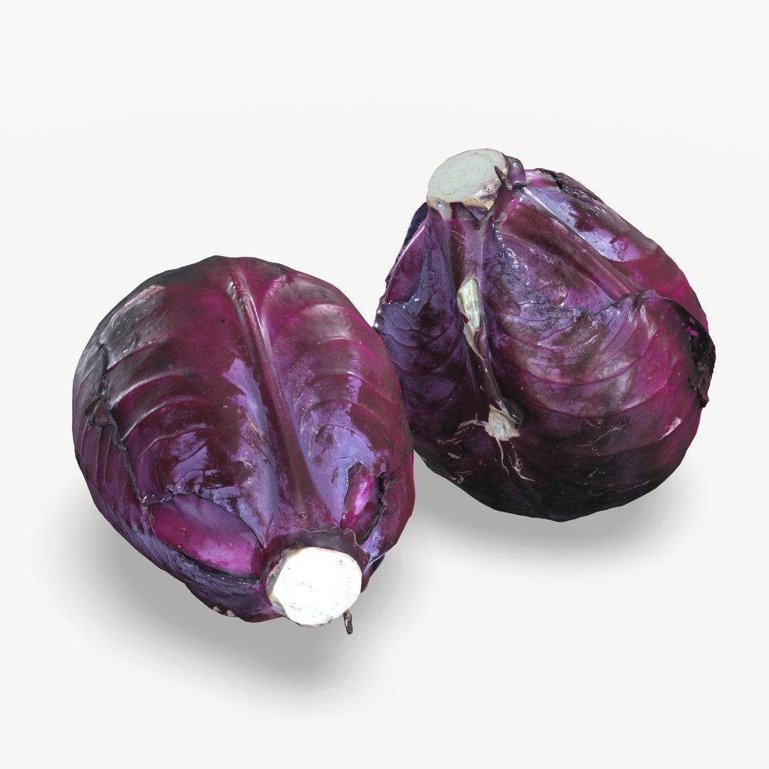 High Quality Scan Red Cabbage 3D Model - TurboSquid 2189106