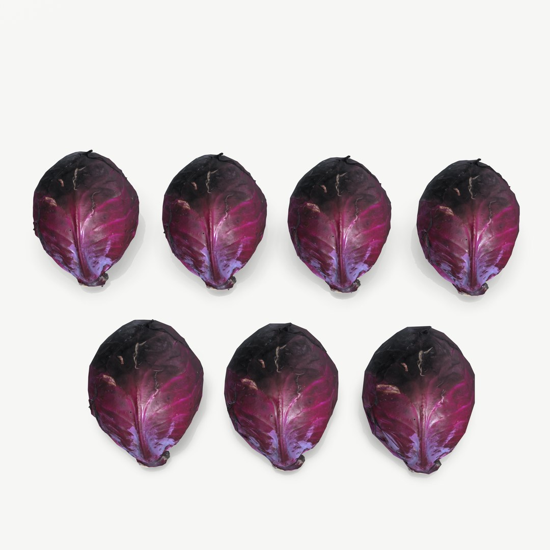 High Quality Scan Red Cabbage 3D Model - TurboSquid 2189106