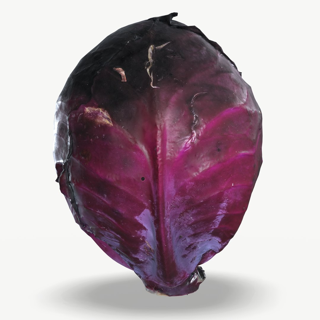 High Quality Scan Red Cabbage 3D Model - TurboSquid 2189106