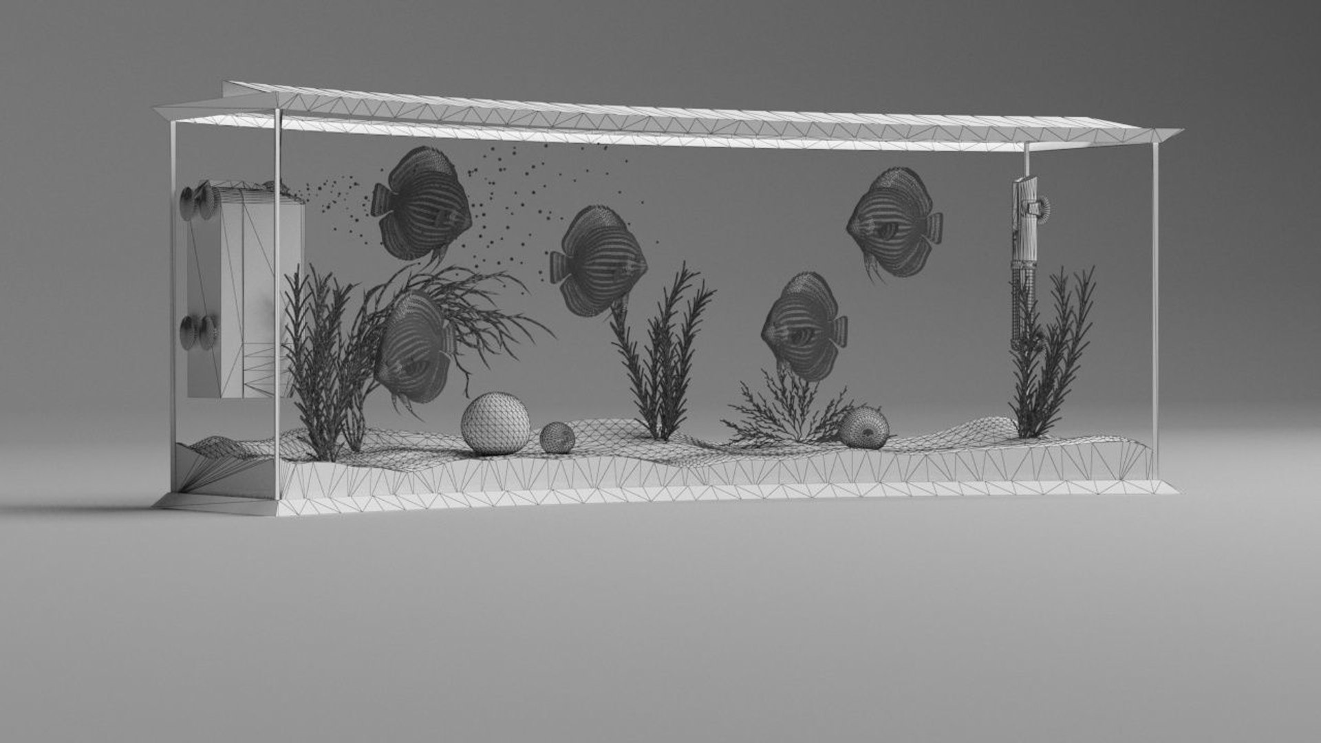 Panoramic aqua tank 3D model - TurboSquid 1484952