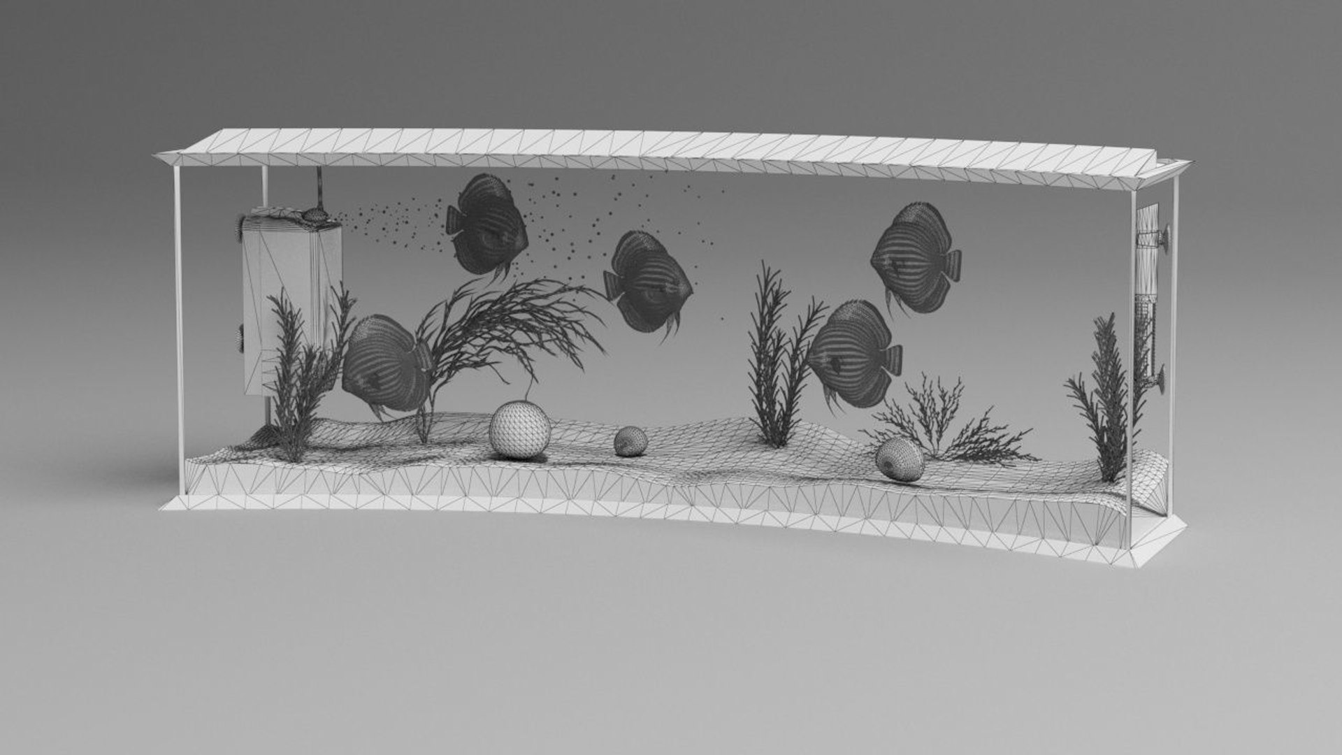 Panoramic aqua tank 3D model - TurboSquid 1484952