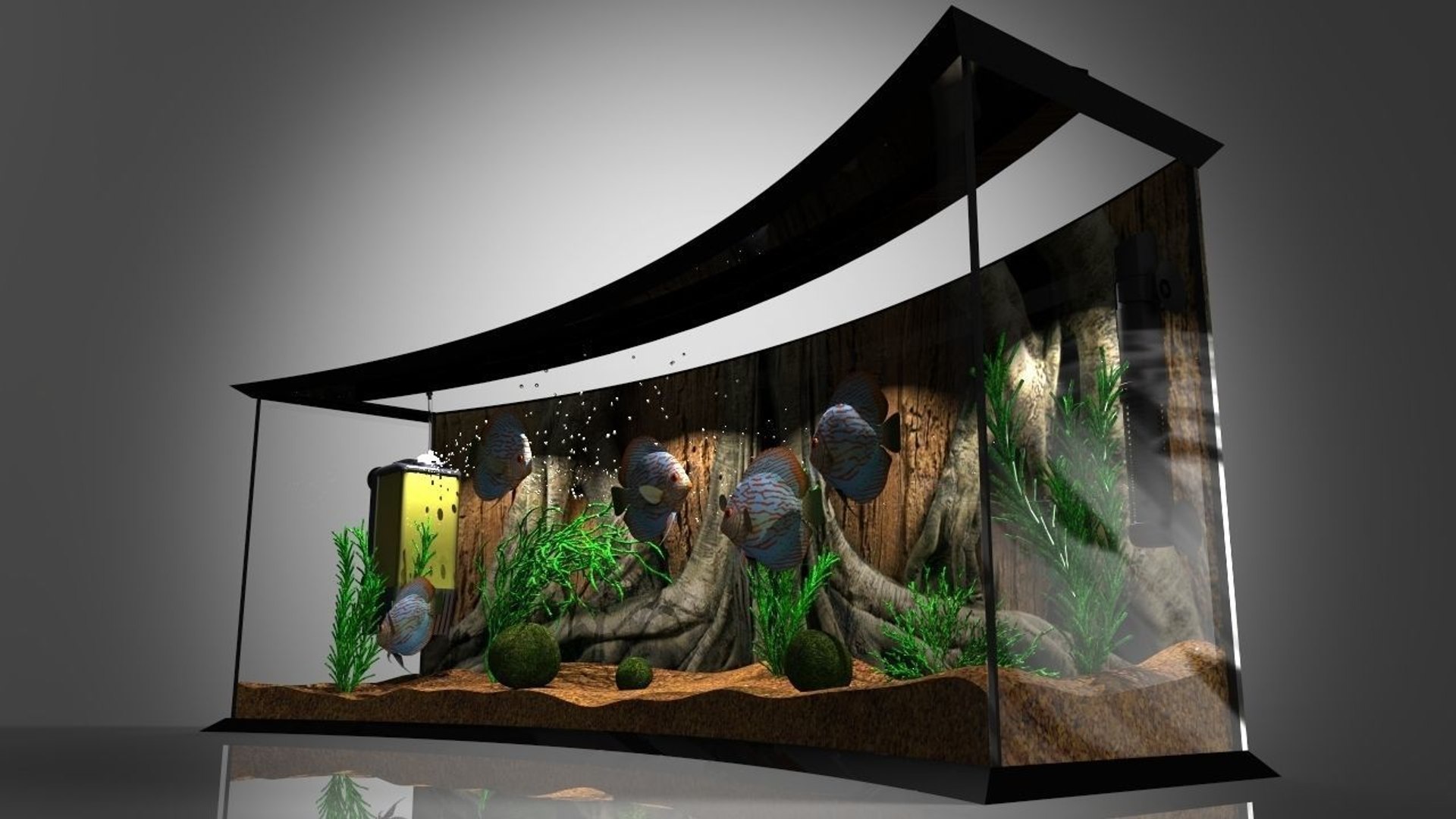 Panoramic aqua tank 3D model - TurboSquid 1484952