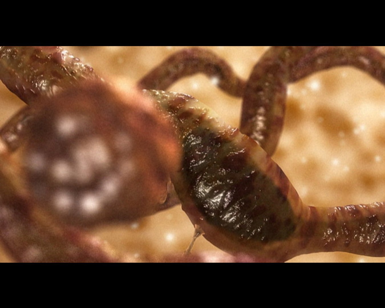 3d Model Organic Goo