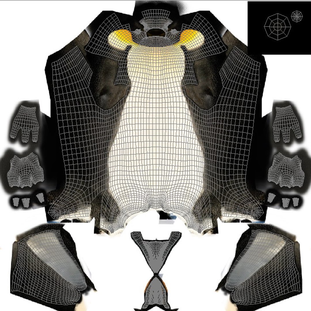 3d penguin animation model