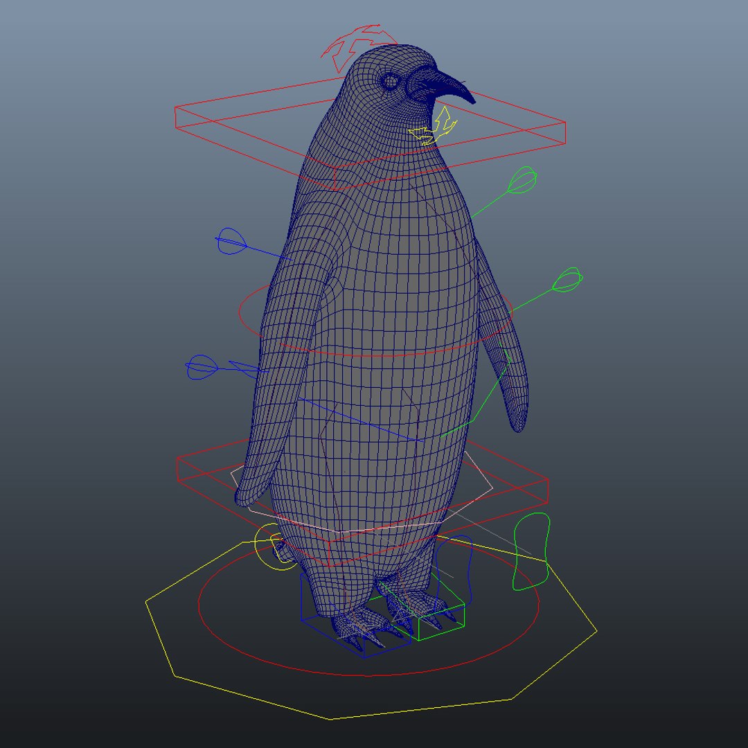 3d penguin animation model