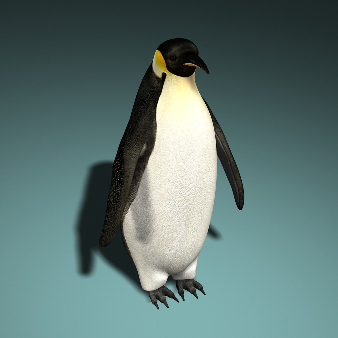 3d penguin animation model