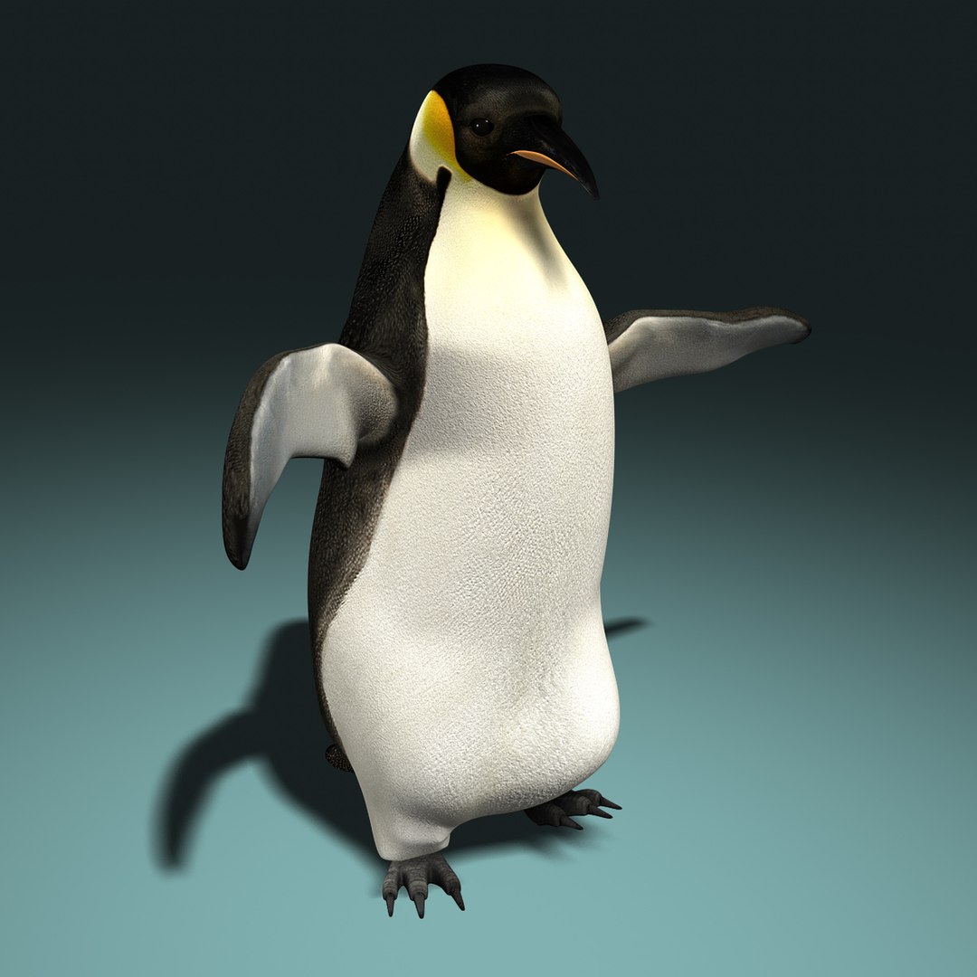 3d penguin animation model