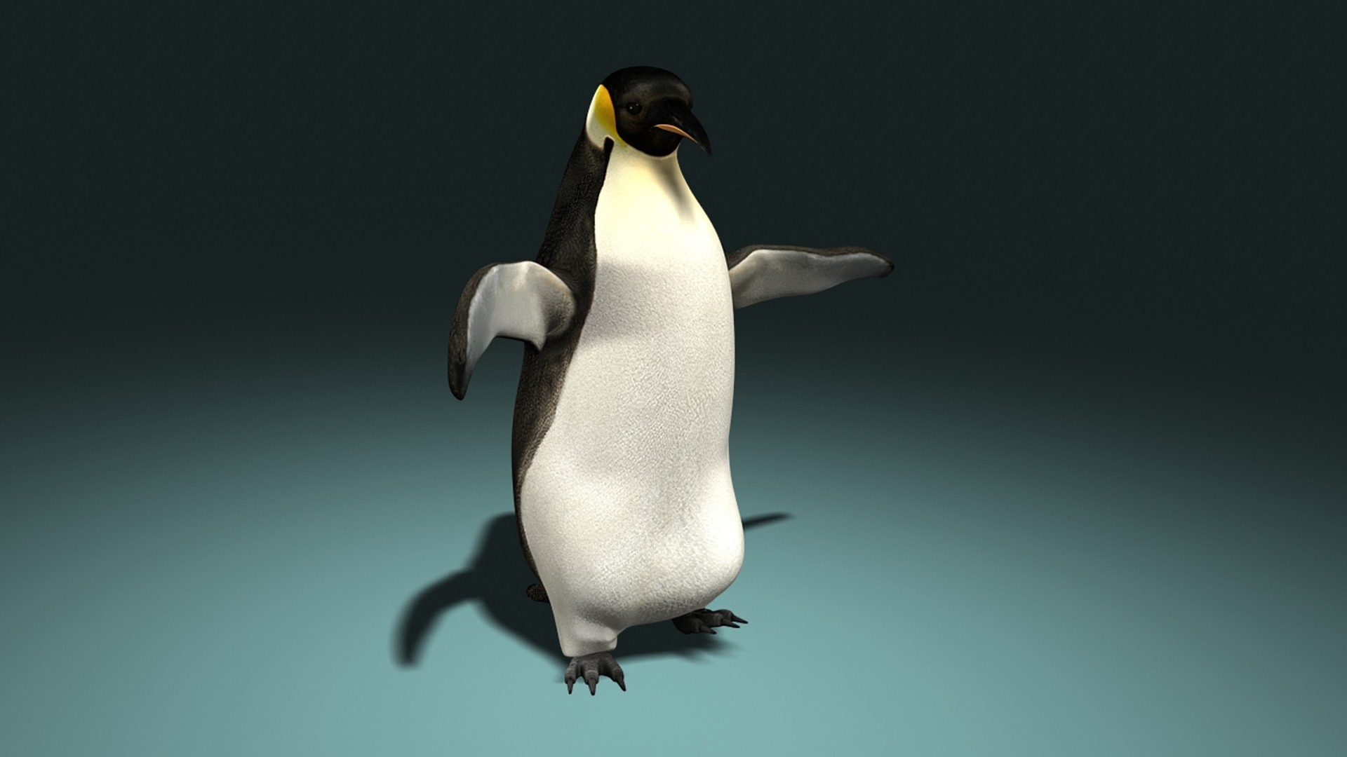 3d penguin animation model
