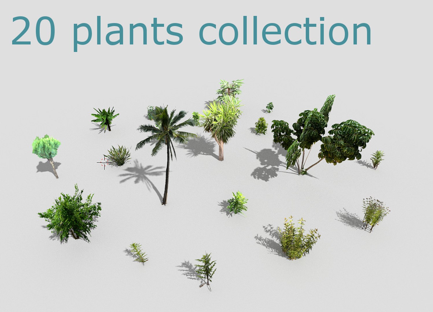3d Model Plants