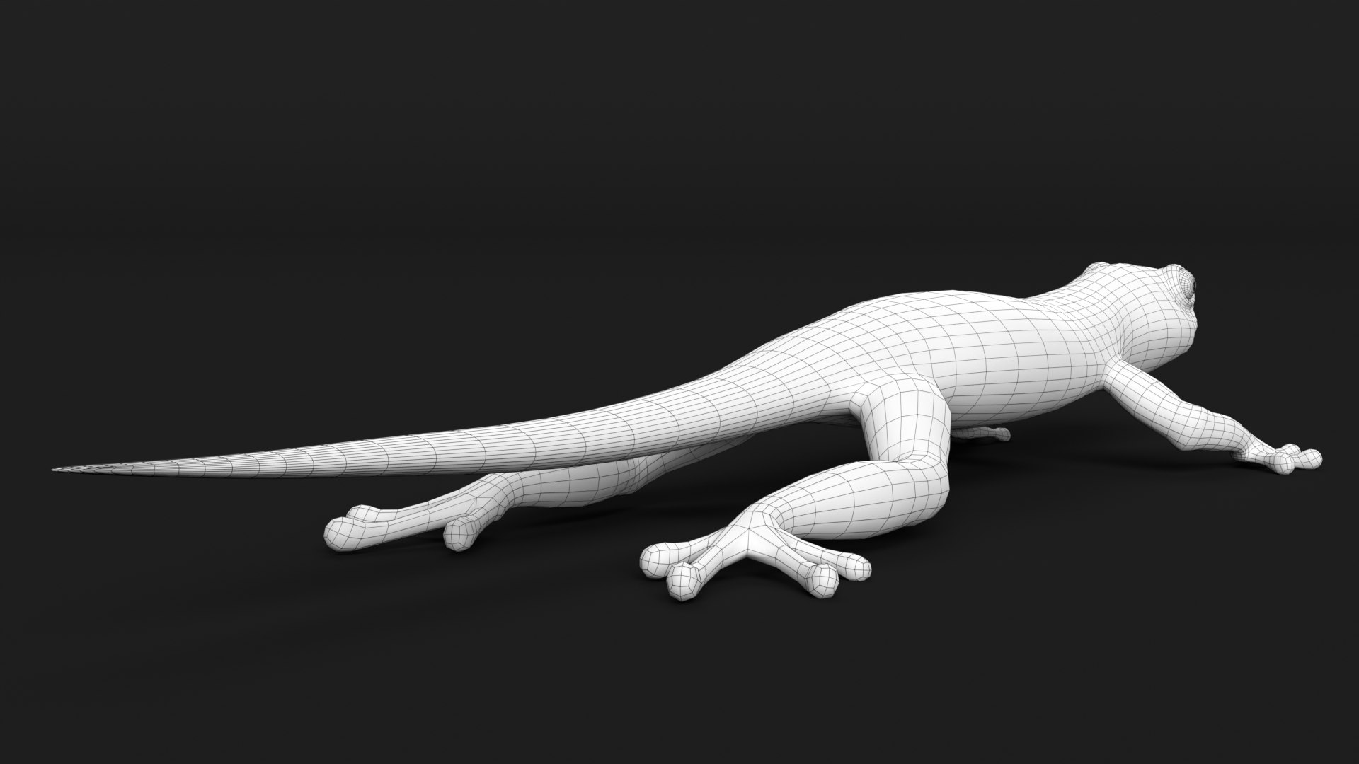 Gecko 3D - TurboSquid 2126218