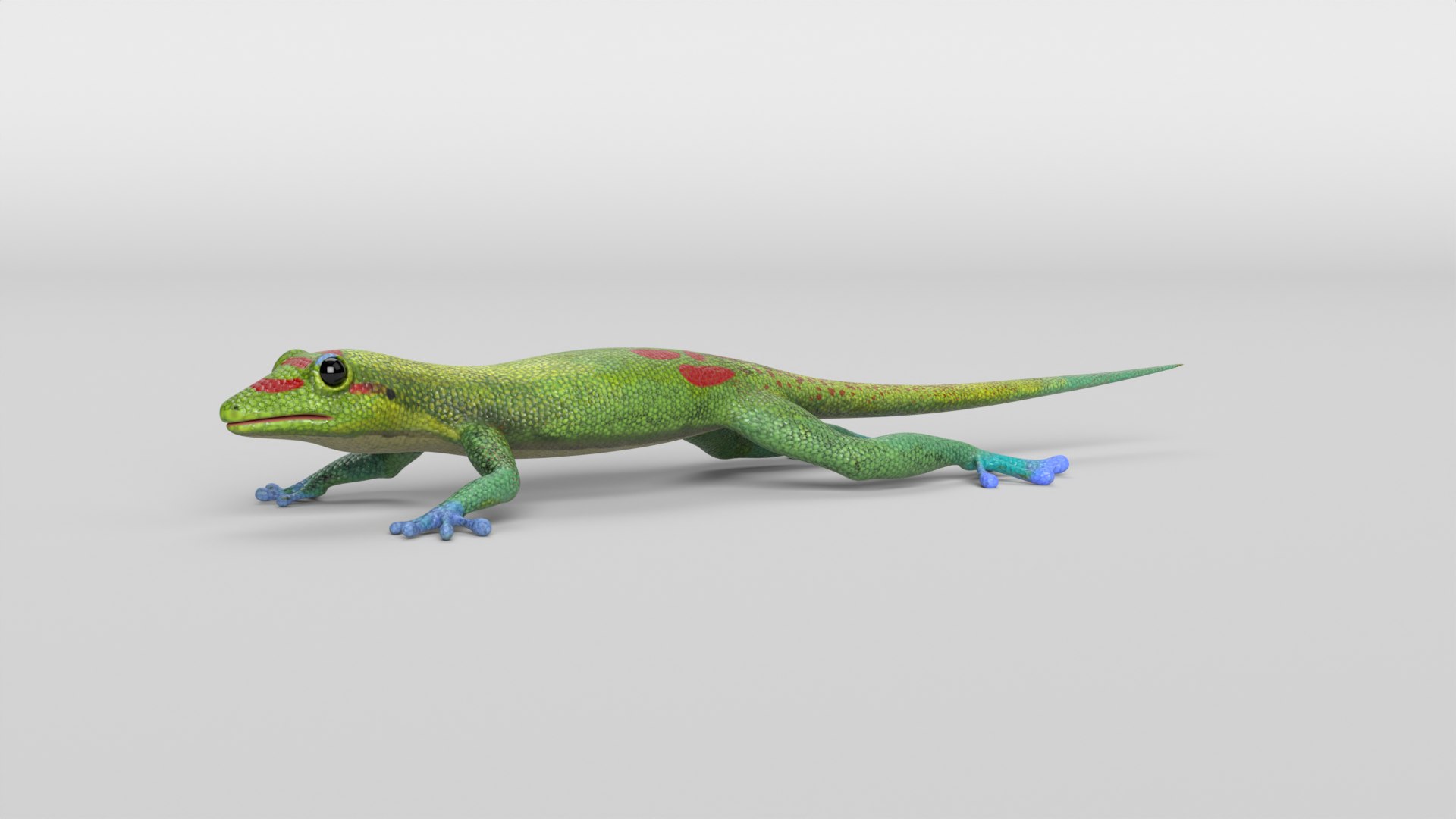 Gecko 3D - TurboSquid 2126218