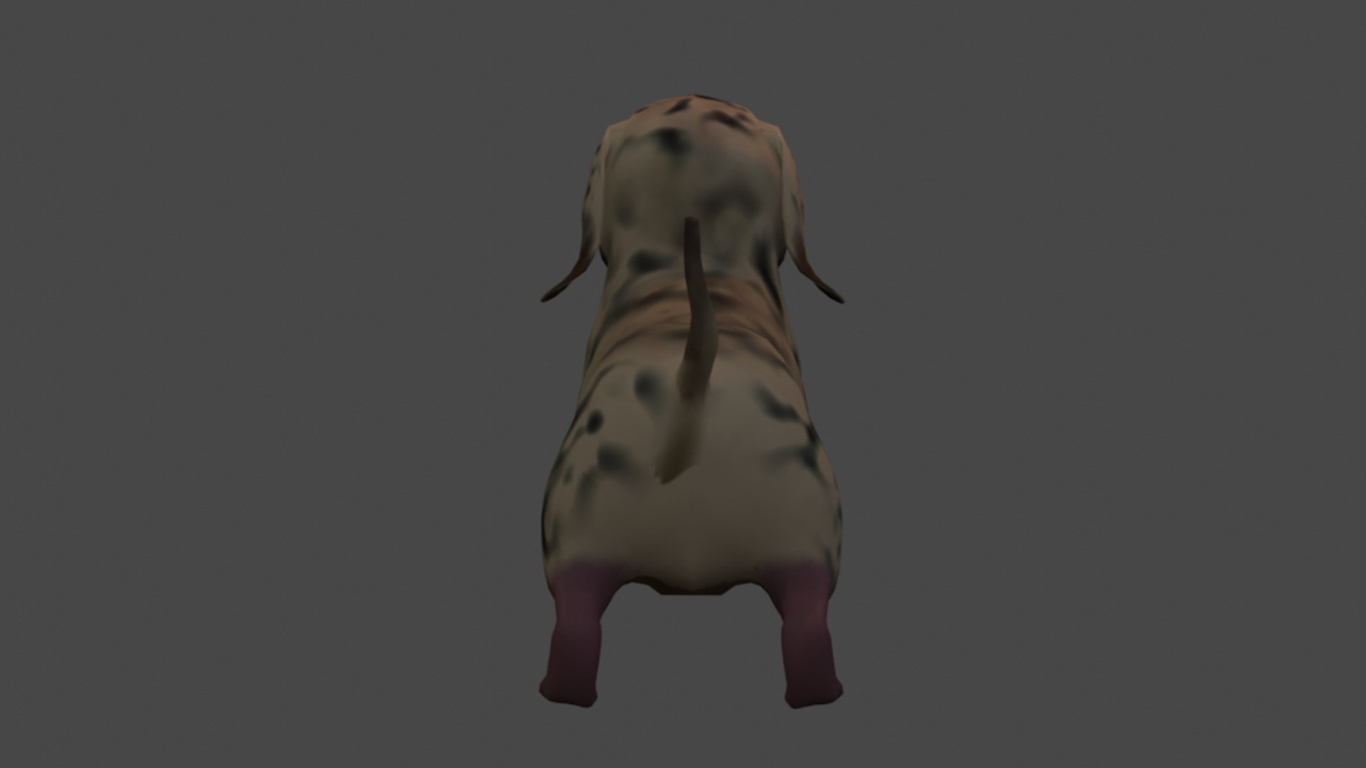 3D Cute Dachshund Dog Rigged - TurboSquid 1374214