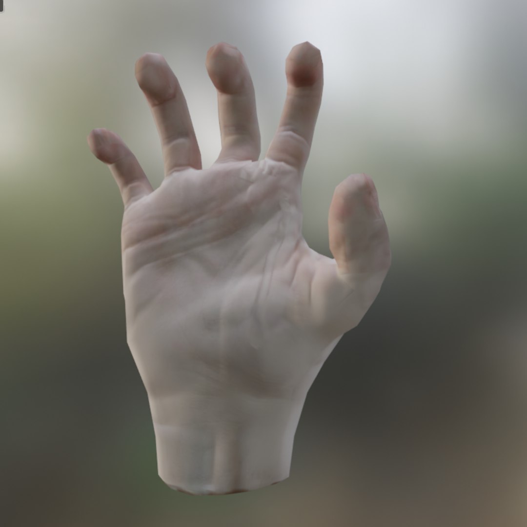 3D Model 3D Animated Rigged Hand - TurboSquid 1795584