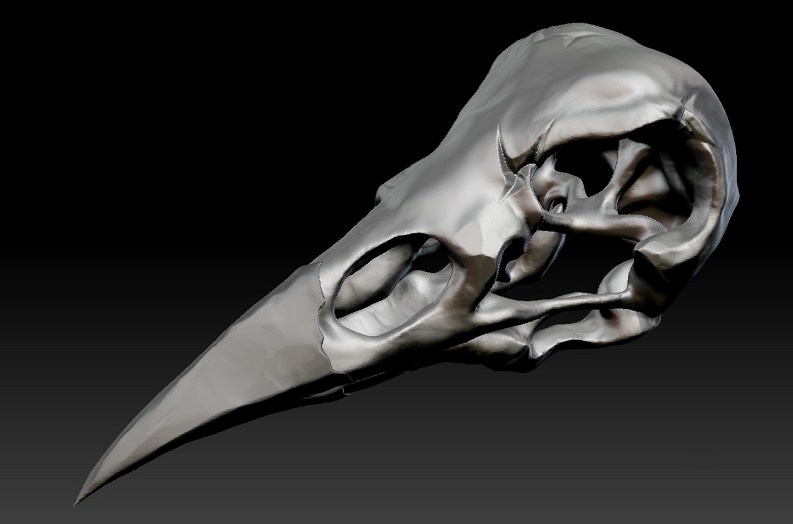 3D Model Raven Skull - TurboSquid 1412854