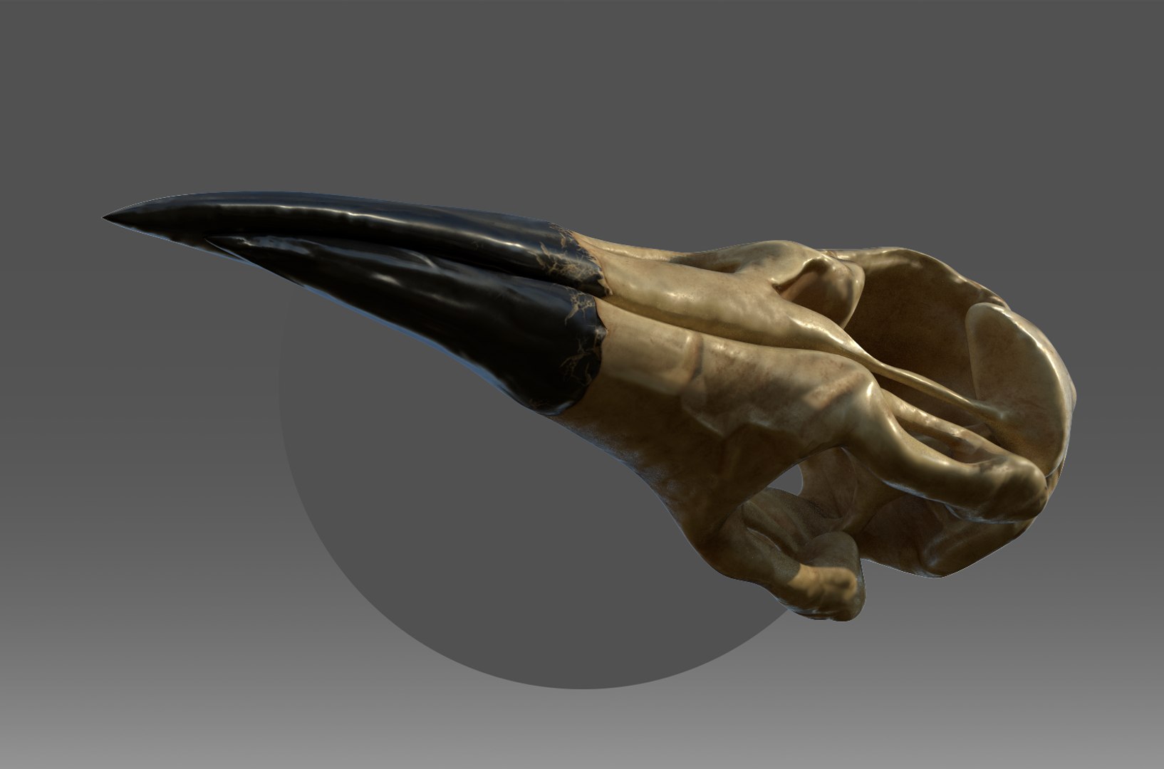 3D Model Raven Skull - TurboSquid 1412854